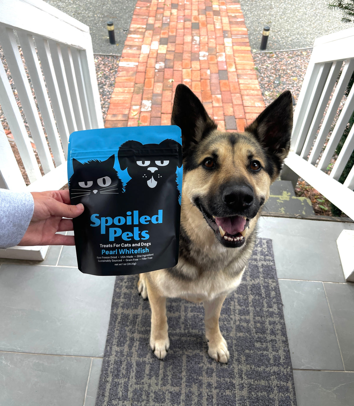 Social Media Kit | Spoiled Pets